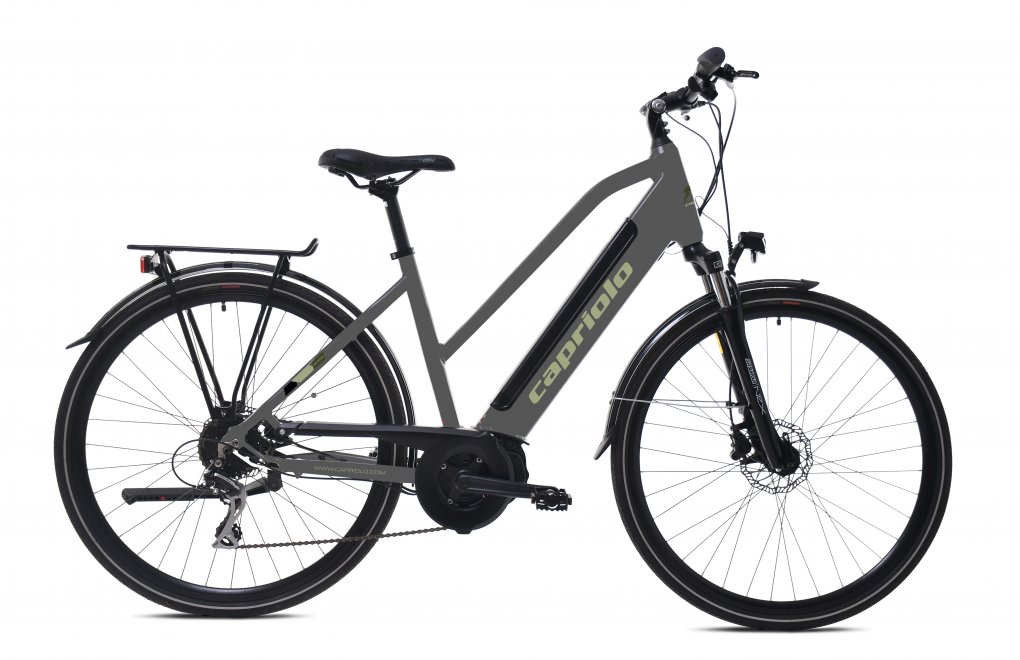 E-BIKE ECO 700.3.2 sivo