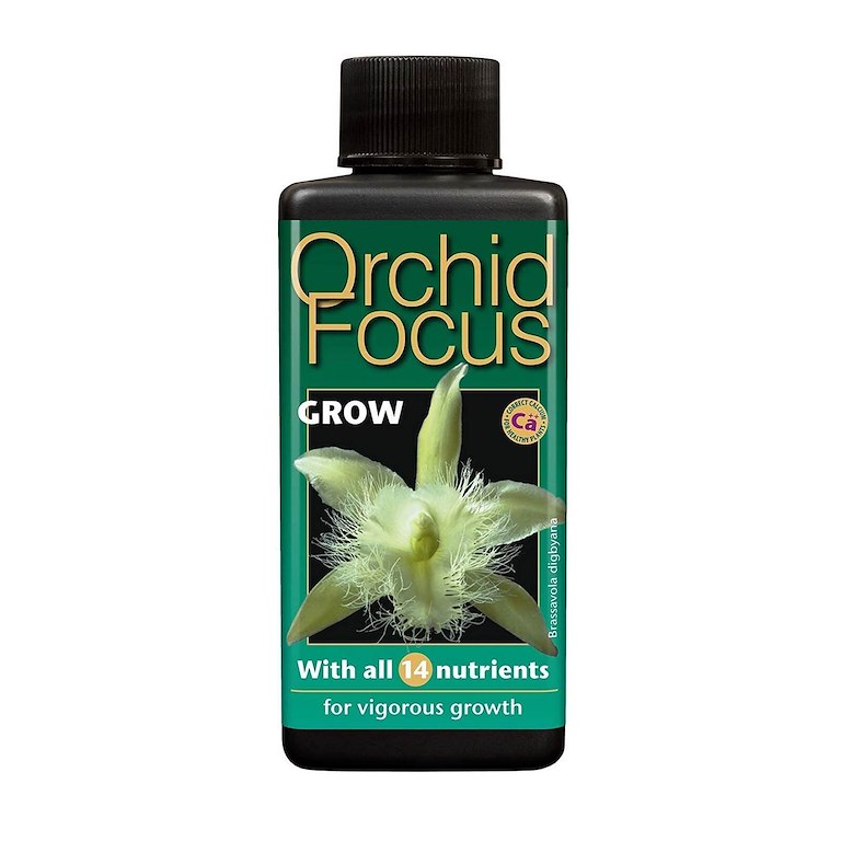 Orchid Focus Grow 100ml