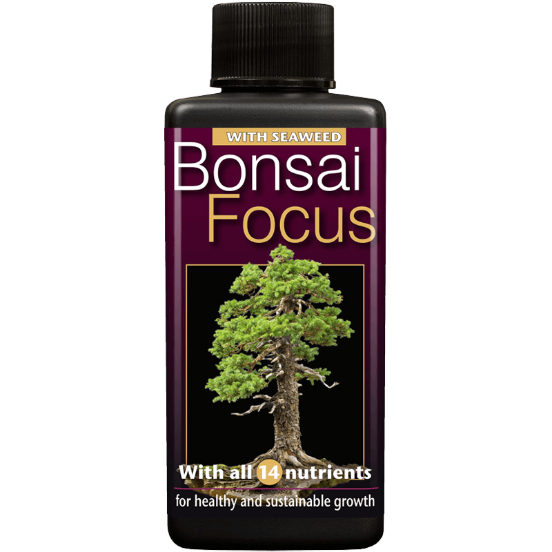 Bonsai Focus 100ml