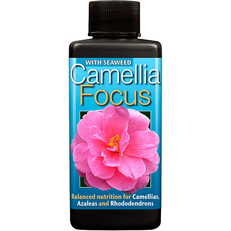 Camellia Focus 100ml