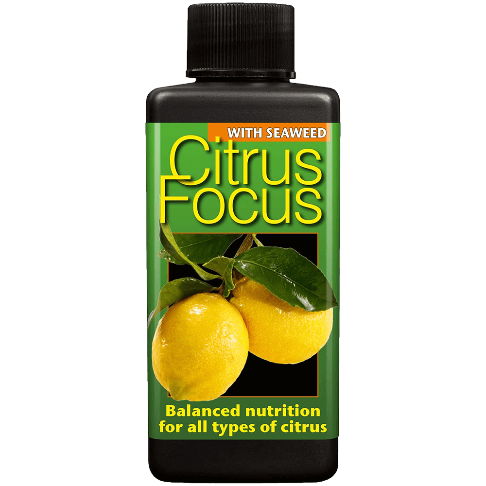 Citrus Focus 100ml