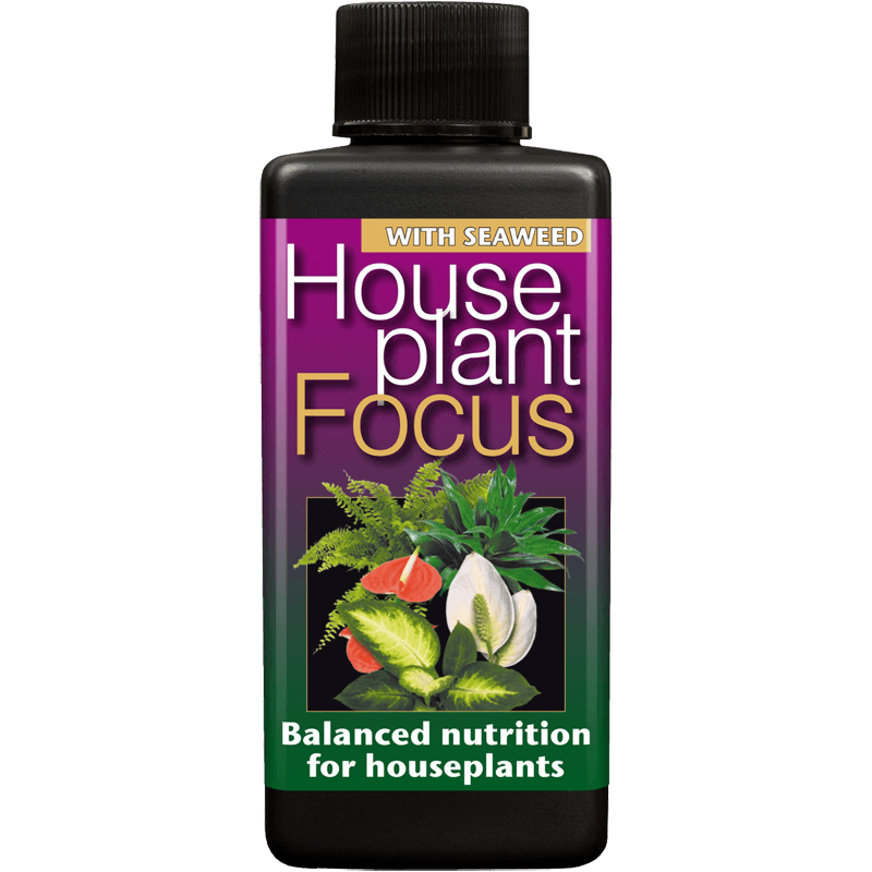 Houseplant Focus 100ml