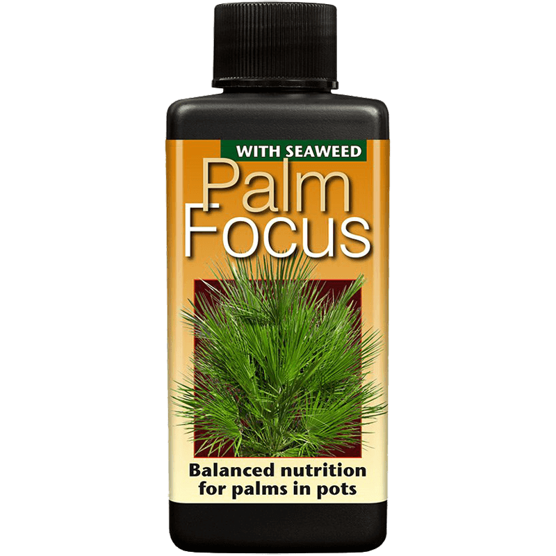 Palm Focus 100ml