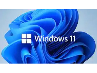 Microsoft Windows 11 Pro 64bit Eng Intl OEM DSP DVD (FQC-10529)