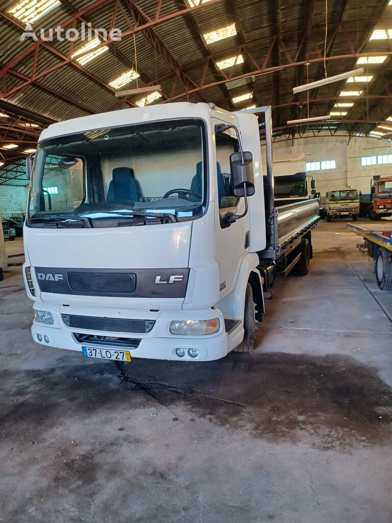 DAF Daf cf 220 tribasculante kiper