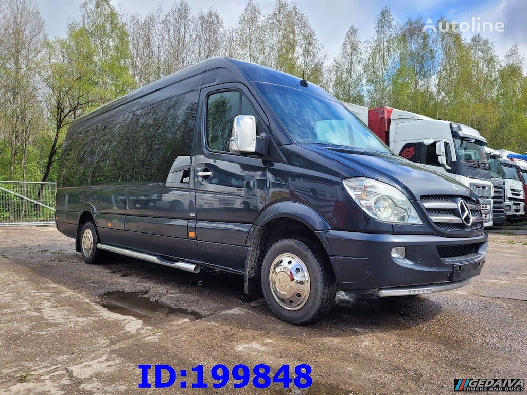 Mercedes-Benz Sprinter 519 - VIP - 17 Seater turistički autobus