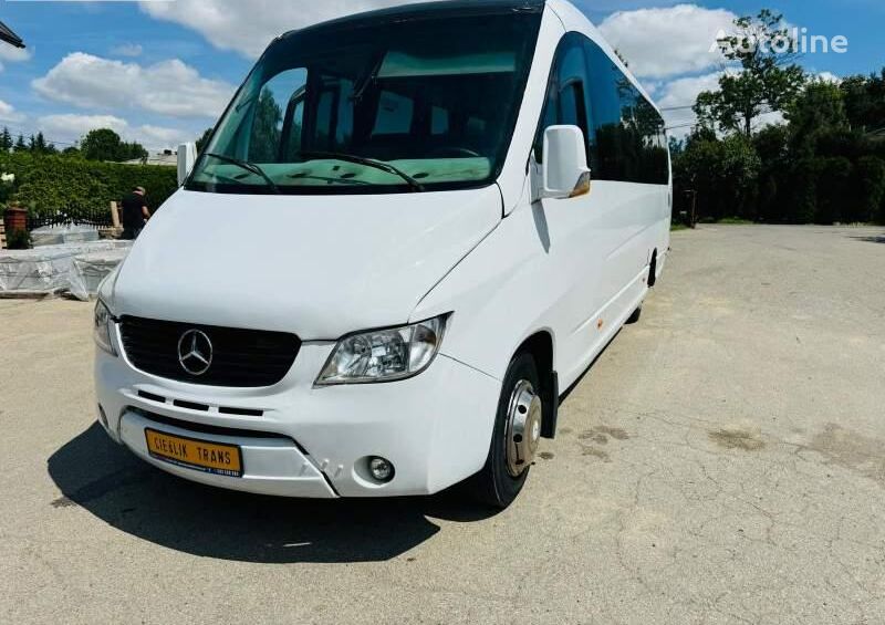 Mercedes-Benz SUNRIDER putnički minibus