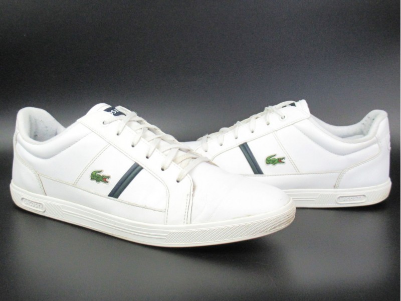 Lacoste Europa patike N5714