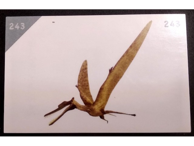 Životinjsko carstvo br. 243 PTEROSAUR