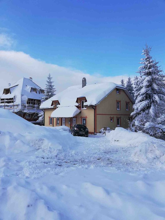 Kopaonik, Naselje Treska, kuća, 9 apartmana ID#17477 340.000 €