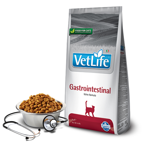 Vet Life Cat Gastrointestinal 400g