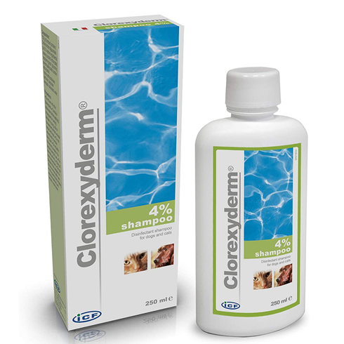 ICF Chlorexyderm® 4% Antiseptični šampon za pse i mačke 250ml