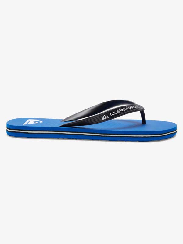 QUIKSILVER Muške japanke MOLOKAI CORE
2407 RSD 1805 RSD