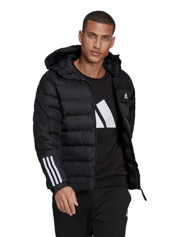 ADIDAS SPORTSWEAR Itavic Jacket
14813 RSD 
18516 RSD -20% The lowest price in the last 30 days*
18516 RSD -20% The lowest price in the last 30 days*
18516 RSD -20% Redovna cena