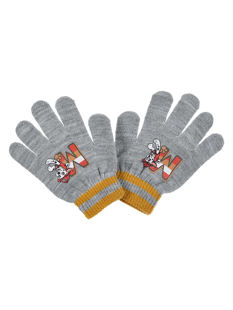 KIDS MOVIE HEROES PAW PATROL Gloves
512 RSD 359 RSD