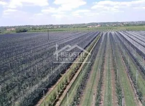 Prodaja Ostale nekretnine - Smederevo