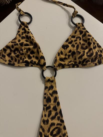 Leopard kupaci