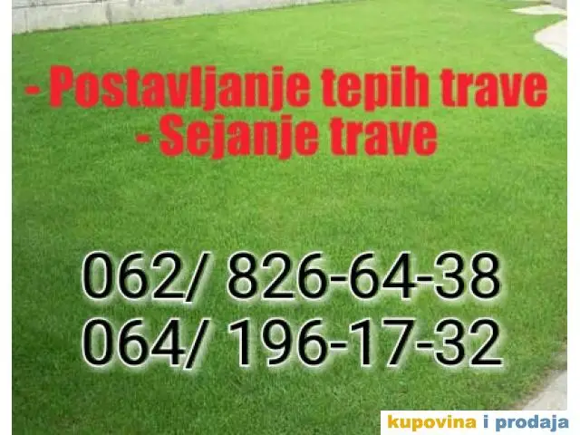 Sejanje trave - Postavljanje tepih trave