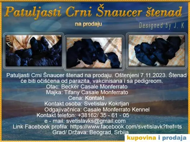 Patuljasti Crni Šnaucer