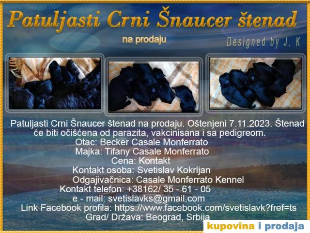 Patuljasti Crni Šnaucer
