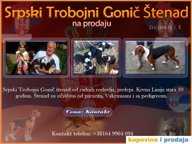 Srpski Trobojni Gonič