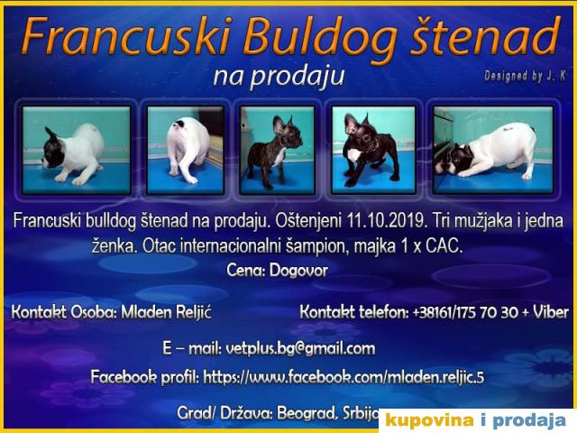 Francuski buldog
