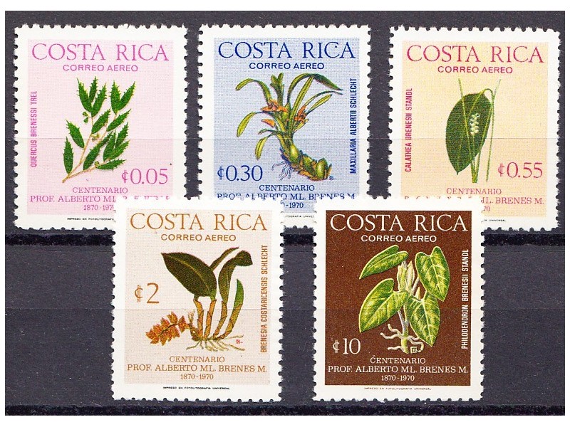 COSTA RICA - FLORA