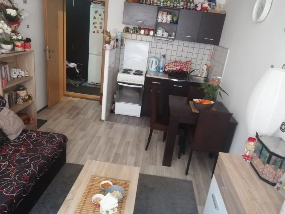 Izdavanje, dvosoban stan, 40m2, Palilula, Niš