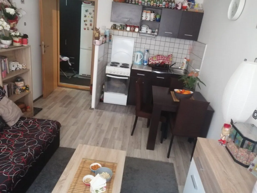 Izdavanje, dvosoban stan, 40m2, Palilula, Niš