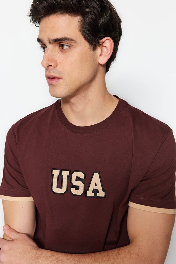 TRENDYOL BROWN MEN'S REGULAR/REGULAR CUT EMBROIDERY DETAIL COLOR BLOCK 100% COTTON T-SHIRT.