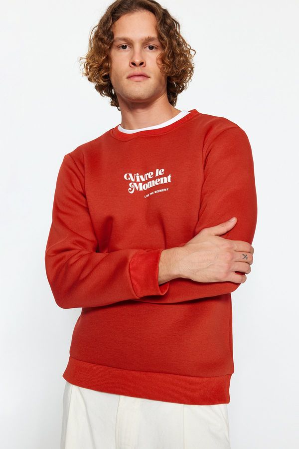 TRENDYOL TILE MEN MEN'S REGULAR / REGULAR FIT CREW NECK LONG SLEEVED FLUFFY TEXT PRINTED SWEATSHIRT.
