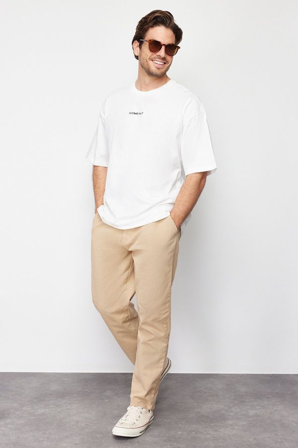 TRENDYOL LIMITED EDITION MINK REGULAR FIT PLEATED DETAILED SOFT TOUCH CHINO TROUSERS