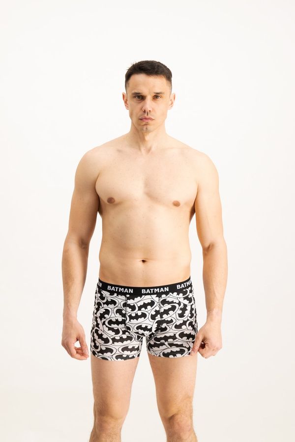 MEN'S BOXERS BATMAN 1P - FROGIES