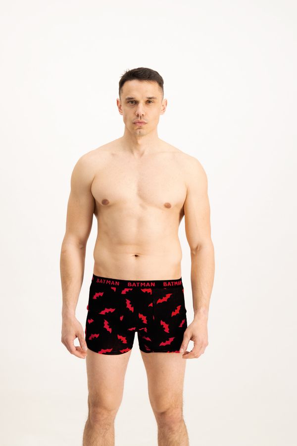 MEN'S BOXERS BATMAN 1P - FROGIES
