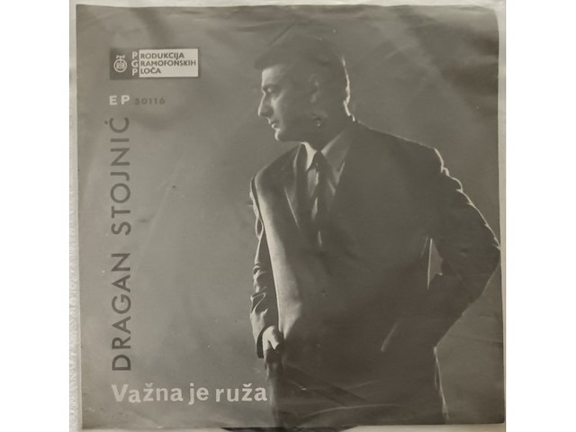 DRAGAN  STOJNIC  -  VAZNA  JE  RUZA