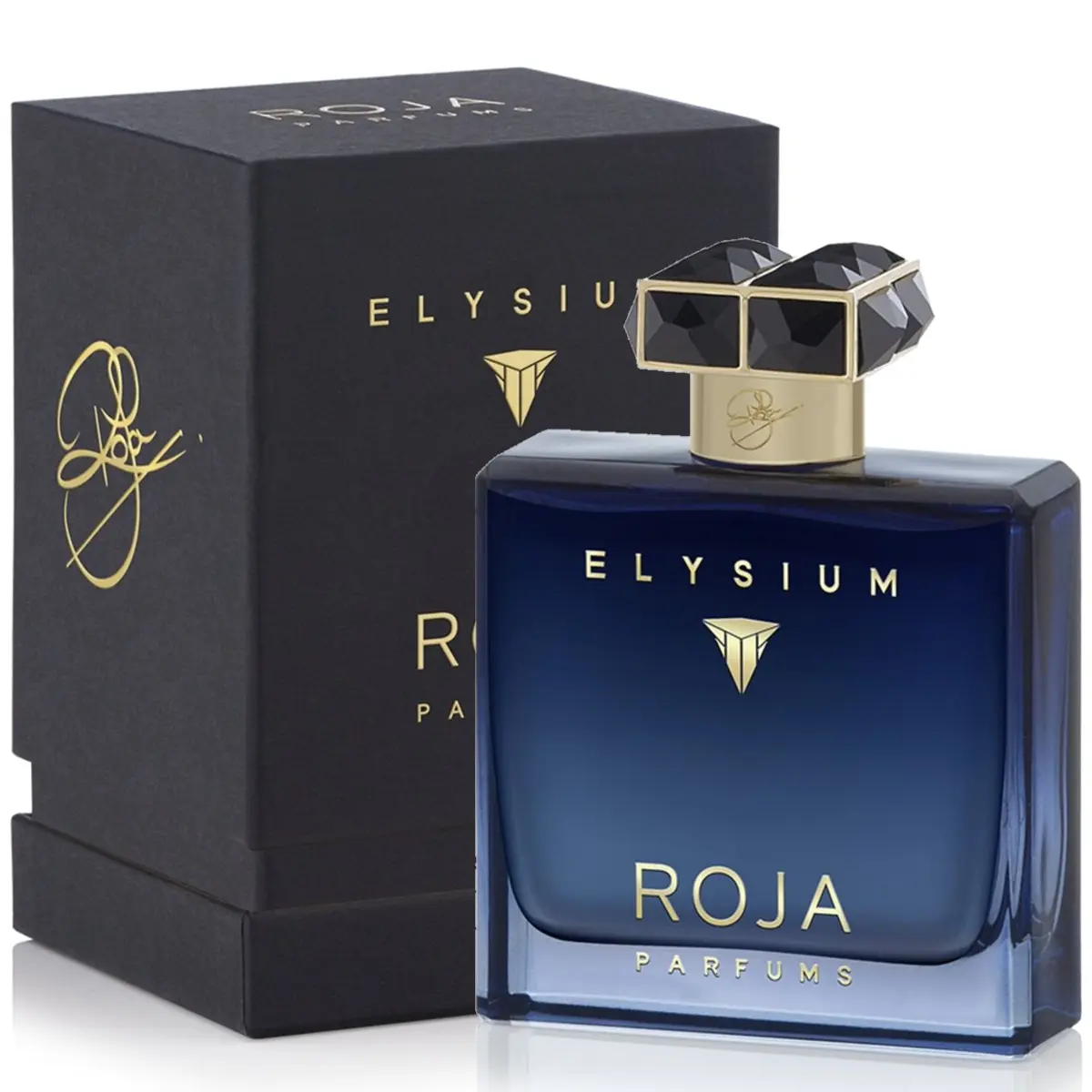 Roja EDP Parfem za muškarce Elysium, 100ml