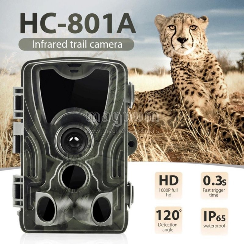 Kamera Suntek HC-801A Basic Trail camera