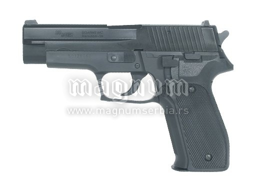 Replika Sig Sauer 280002 P226 Power