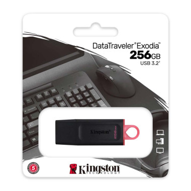 KINGSTON DTX/256GB 256GB USB FLASH DRIVE, USB 3.2 GEN.1, DATATRAVELER EXODIA