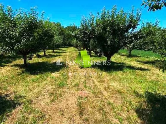 Seosko domaćinstvo u Mezgraji-pravo mesto za sve one koji žele beg od grads ID#5117