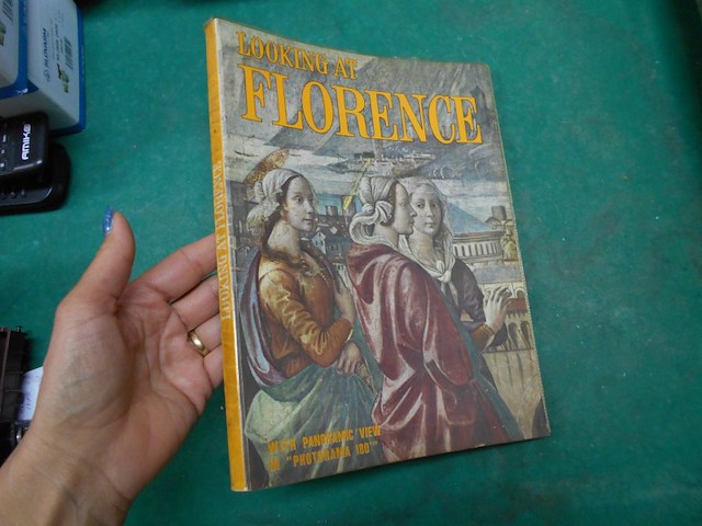 Rolando Fusi - Looking at Florence