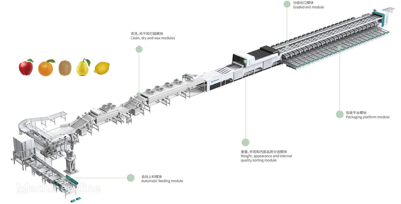 Nova AI Fruit and vegetable sorting machine TAIHO oprema za preradu povrća i voća