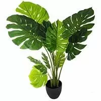 Philodendron Monstera Veštačka Dekorativna Biljka u Saksiji Atmosphera Createur d interieur