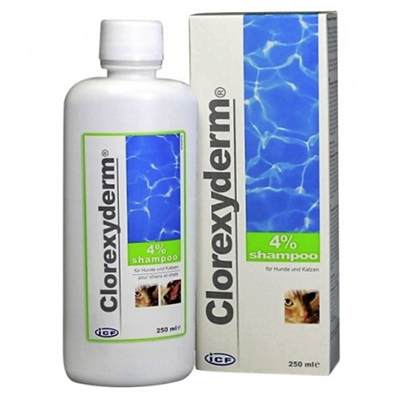 Clorexyderm šampon 4%