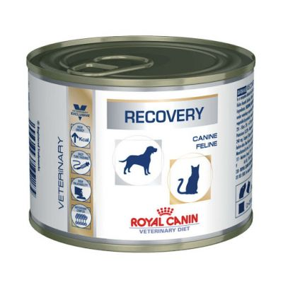 Royal Canine & Feline Convalescence 195g