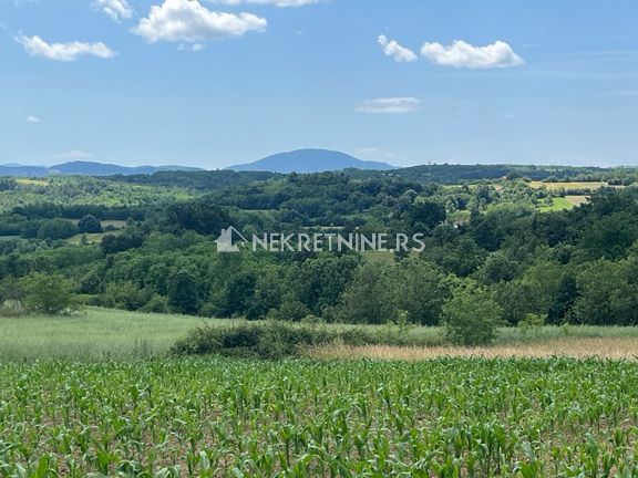 1,27 ha na obroncima Kosmaja sa pogledom