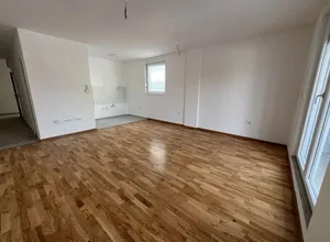 Prodaja Stan - Novi Sad, Adice