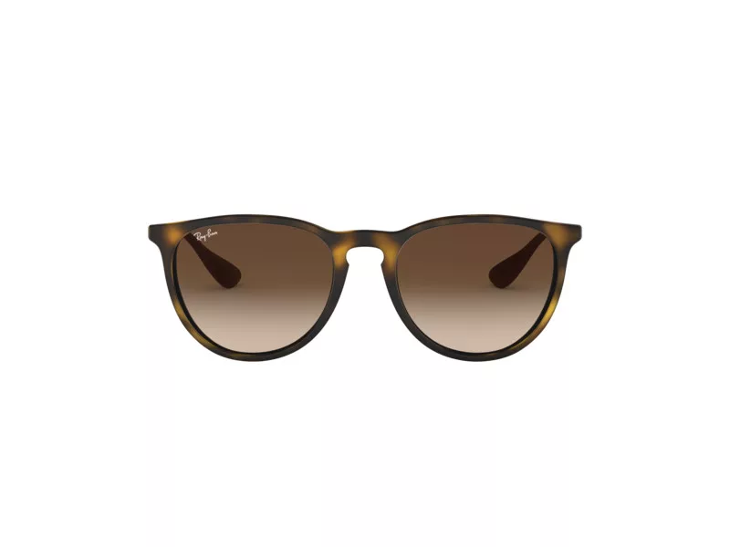 Ray-Ban Erika Naočare za sunce RB 4171 865/13