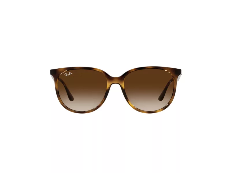 Ray-Ban Naočare za sunce RB 4378 710/13