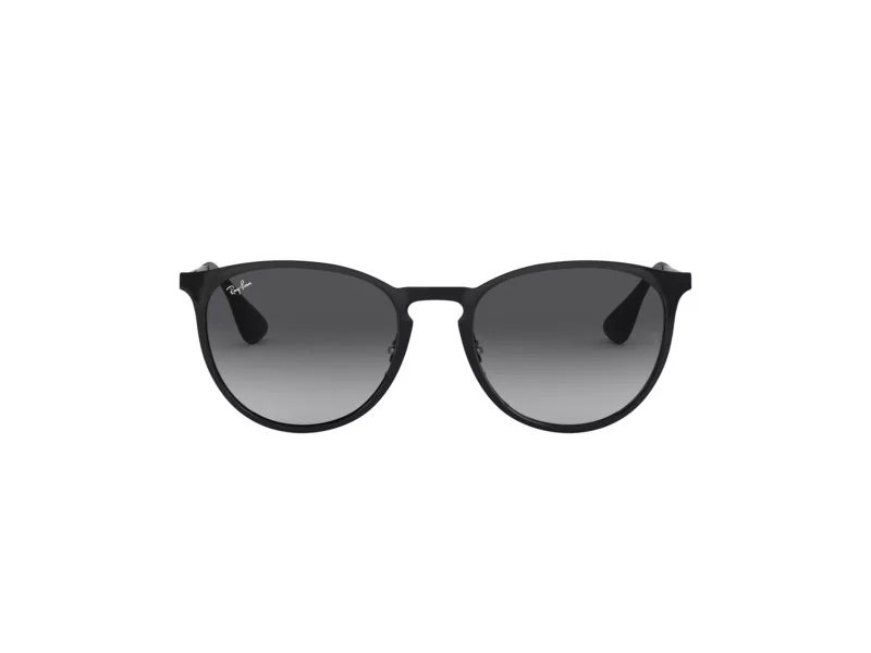 Ray-Ban Erika Metal Naočare za sunce RB 3539 002/8G